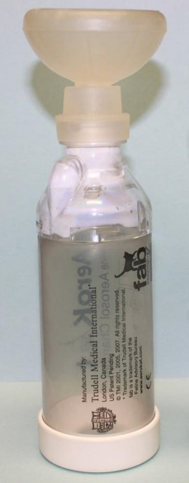 Inhalation Treatment of Airway Disease in Animals - Pharmacology - MSD ...