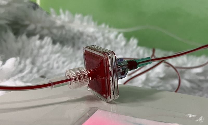 Image:Blood product filter, cat-MSD Veterinary Manual