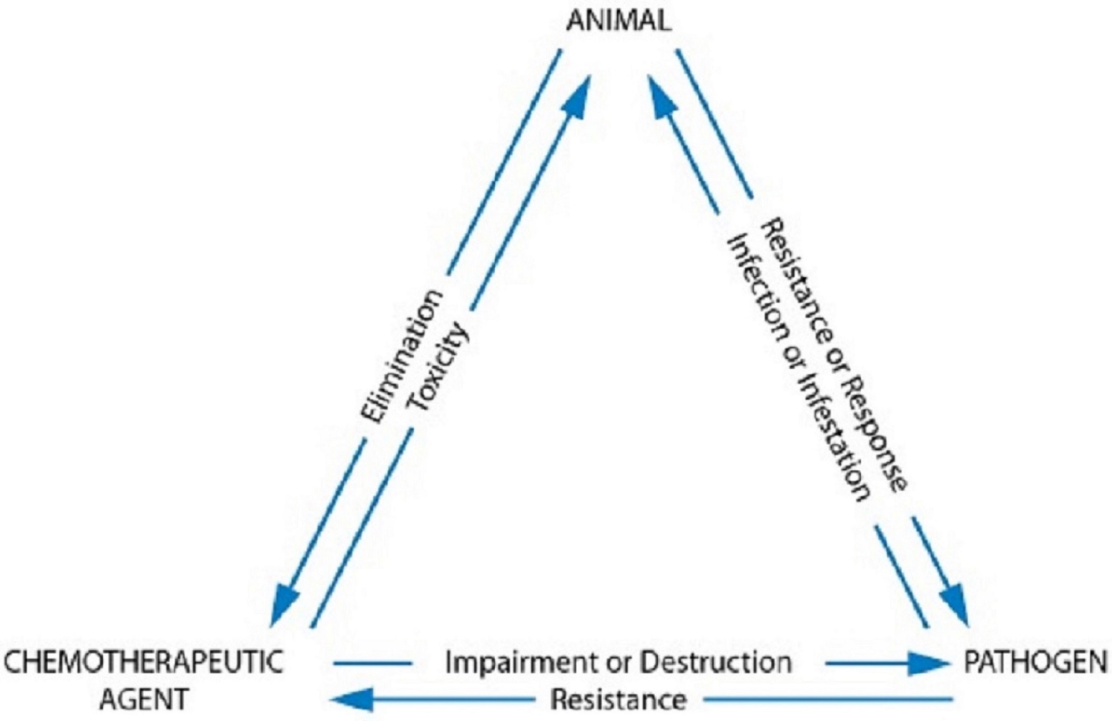 Image:Chemotherapeutic triangle-Merck Veterinary Manual