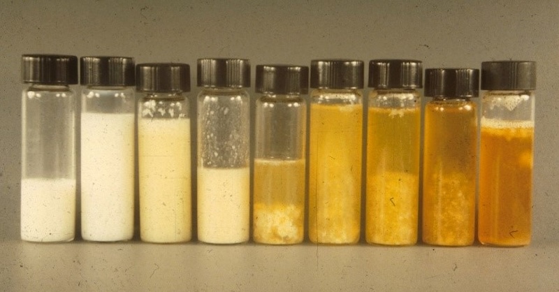 Image:Muestras de leche, bacterias coliformes, vaca-Manual de ...