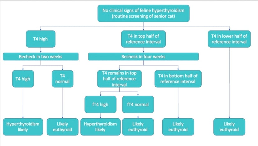Hyperthyroidism in Animals - Endocrine System - Merck Veterinary Manual