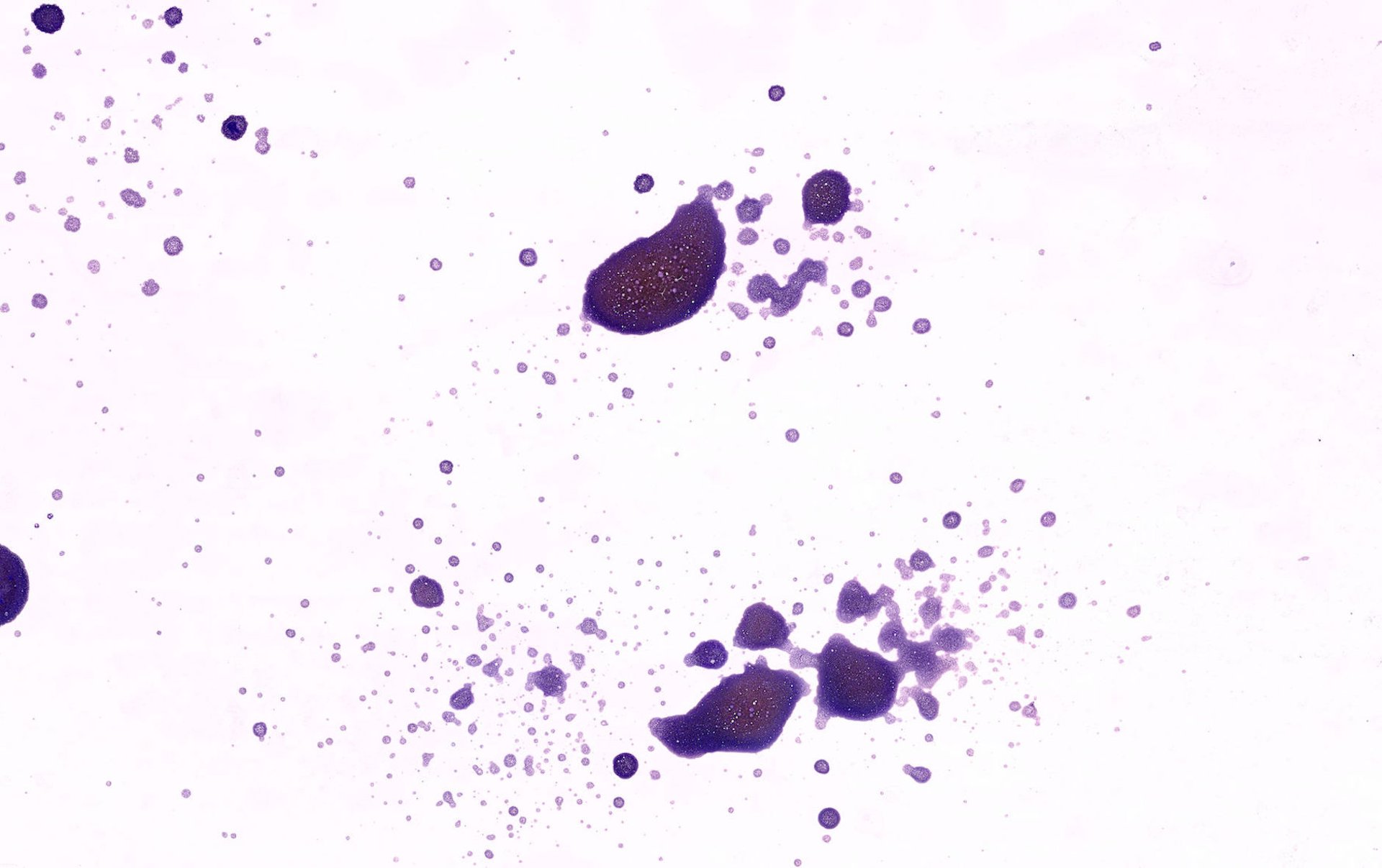 Collection and Submission of Laboratory Samples from Animals - Clinical ...