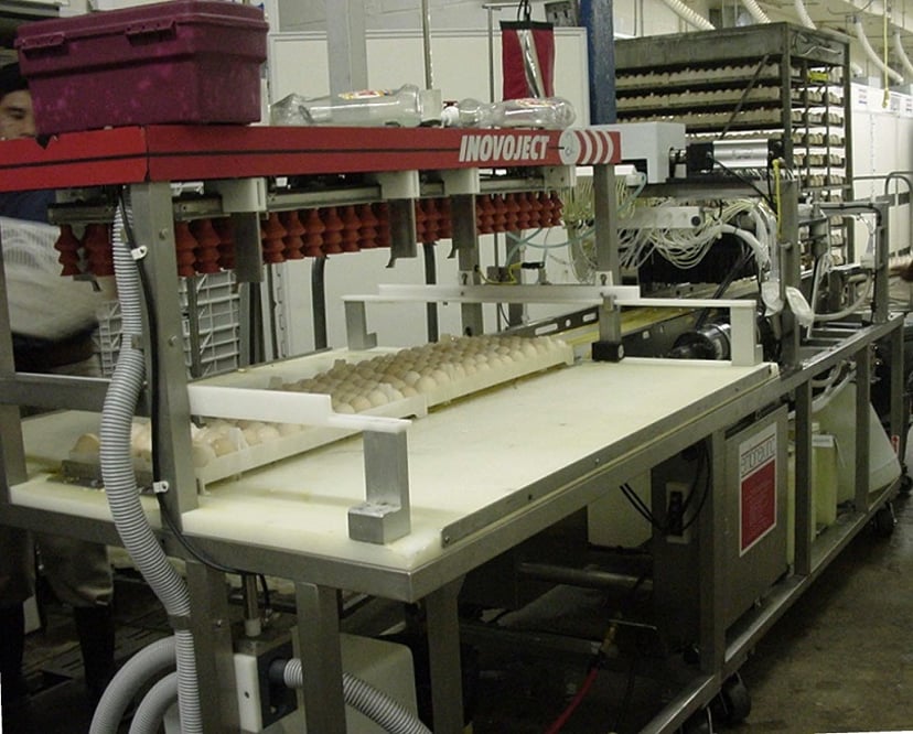 Vaccination Programs for Poultry - Poultry - MSD Veterinary Manual