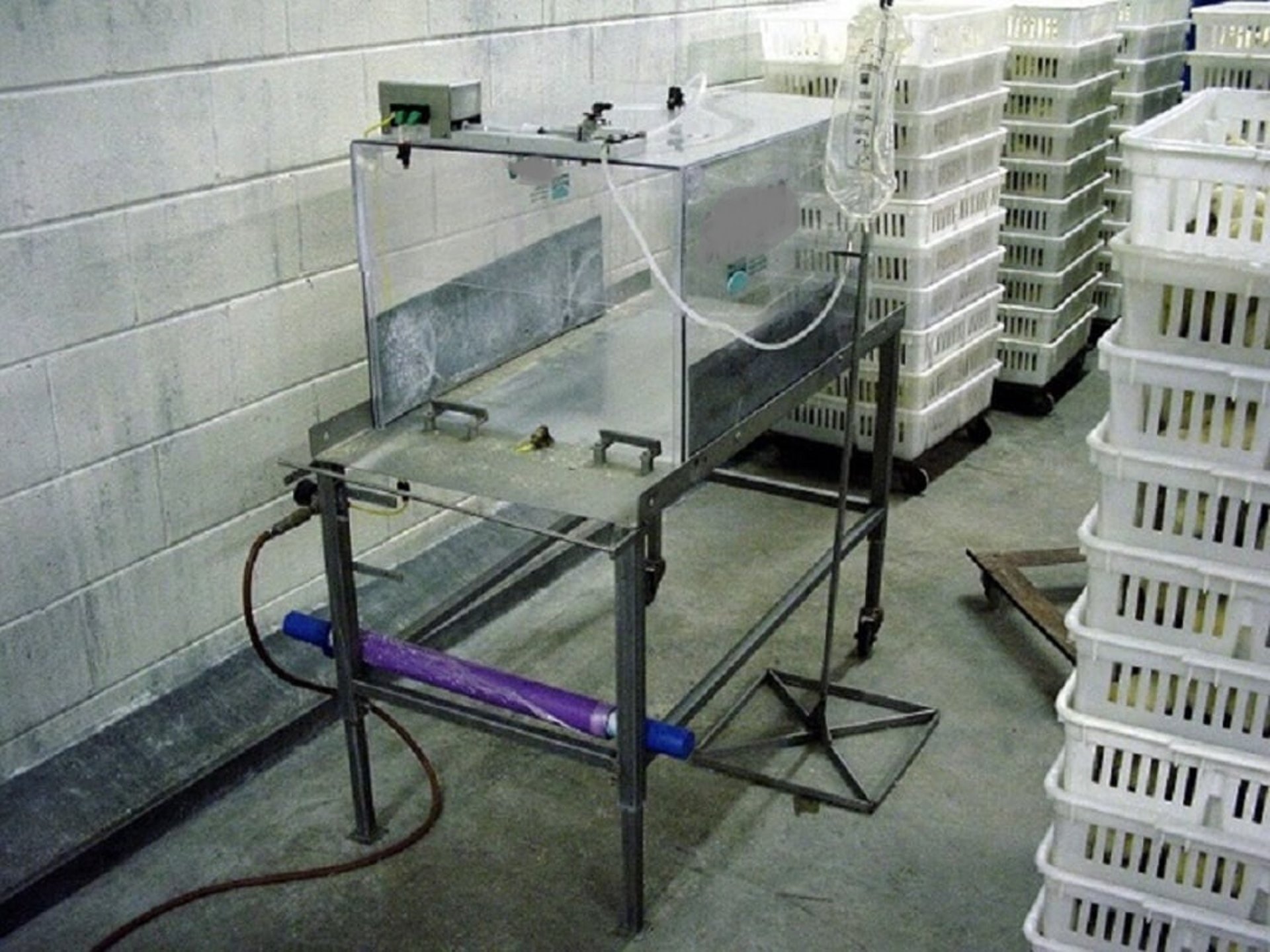 Image:Cabina de pulverización de vacunación para pollitos de un día-Manual de veterinaria de MSD