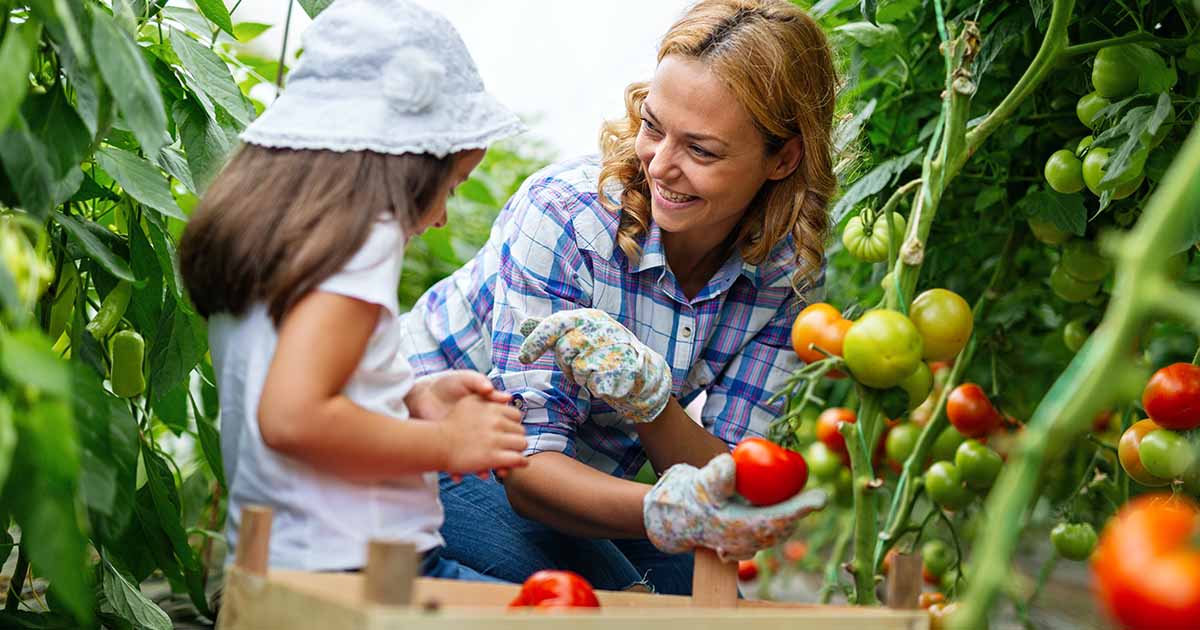 A Sustainable Hobby Farm: Essential Tips – Westfield
