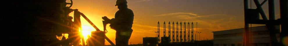 System Integrity Plan