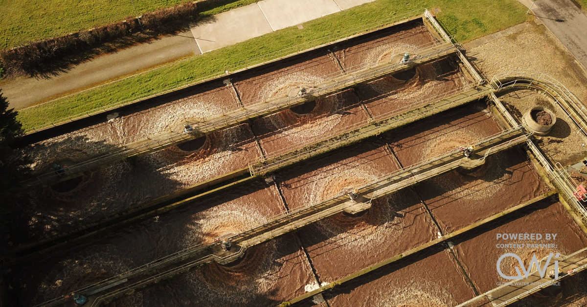 Offtake markets hotting up for sewage sludge biochar