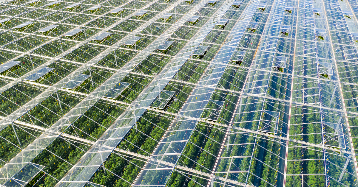 The four best-read horticulture articles of 2021 | GreenTech