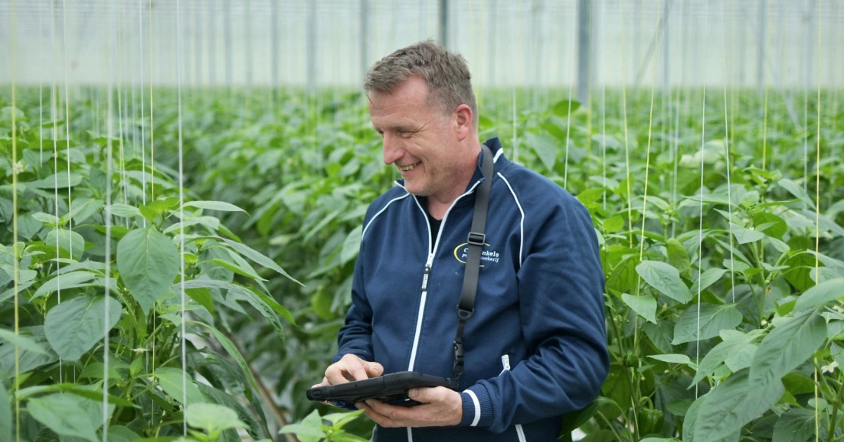 Improving cultivation results with AI | GreenTech