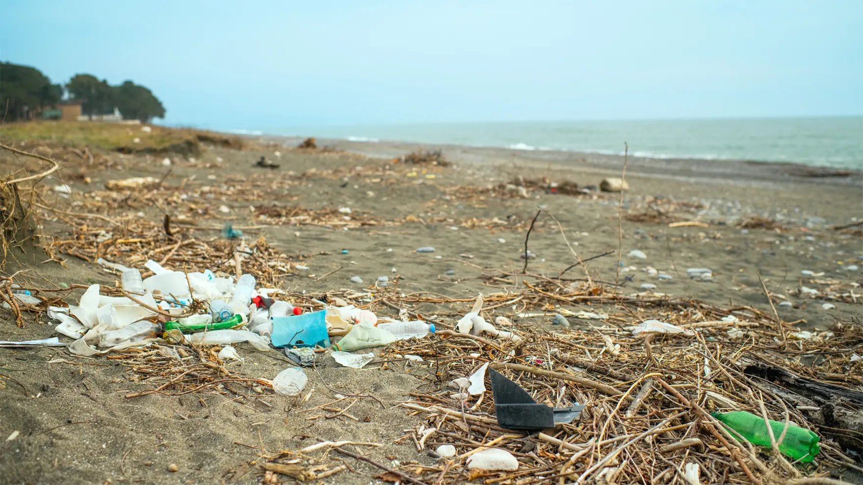 Turning The Tide on Plastic Pollution Requires Global Effort | SC Johnson