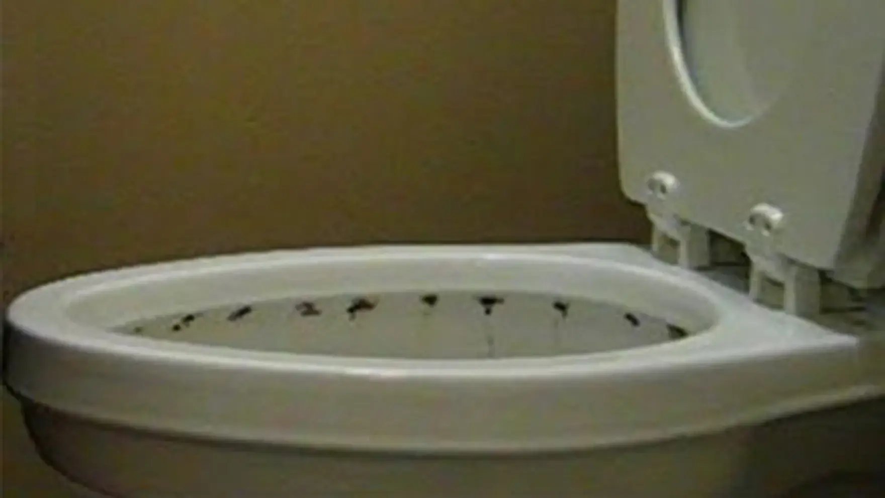 How to Fix a Smelly Toilet | Drano® Expert Advice