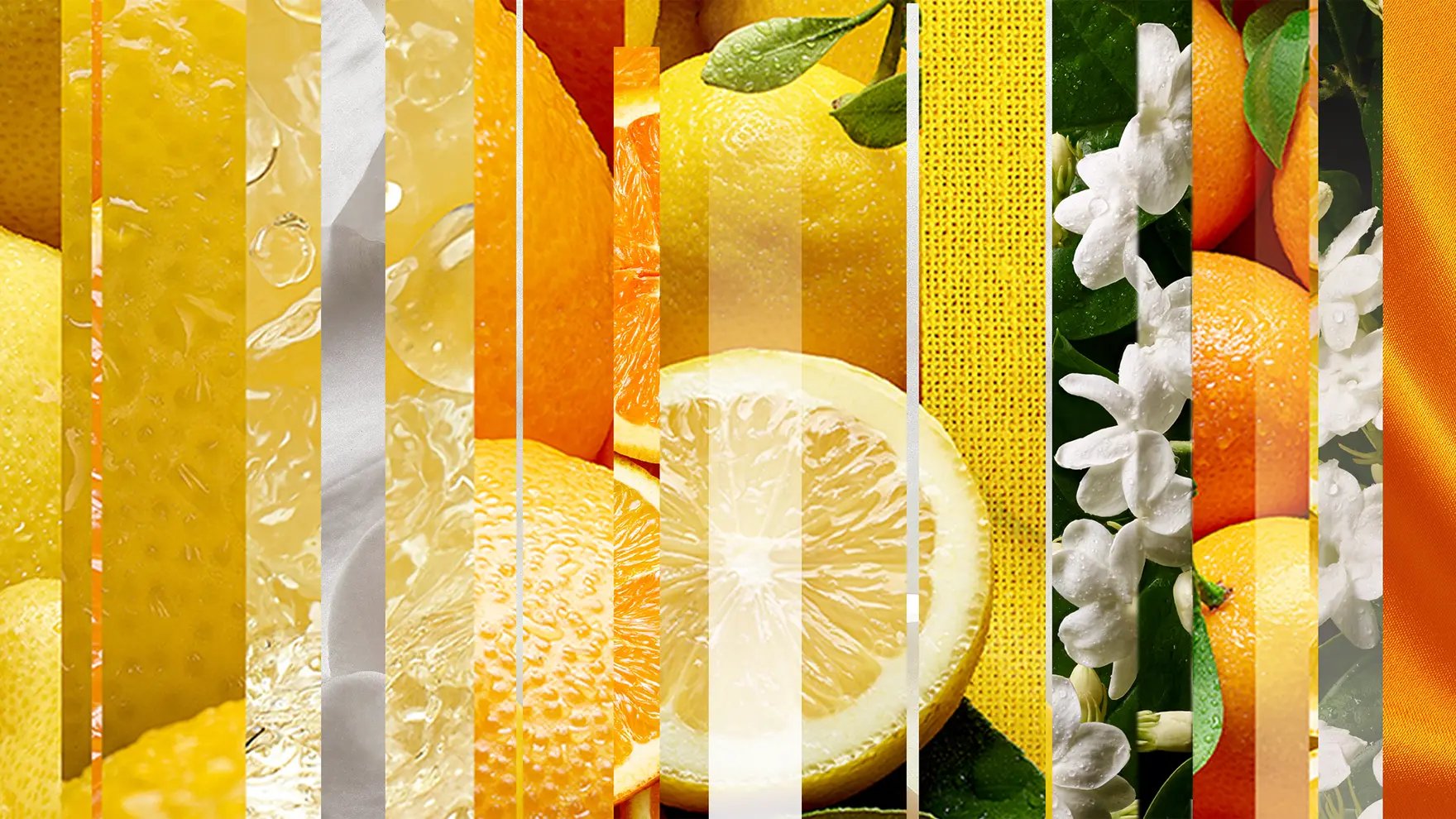 Lemon Zest & Poppy Fragrance | Glade Home Products | SC Johnson