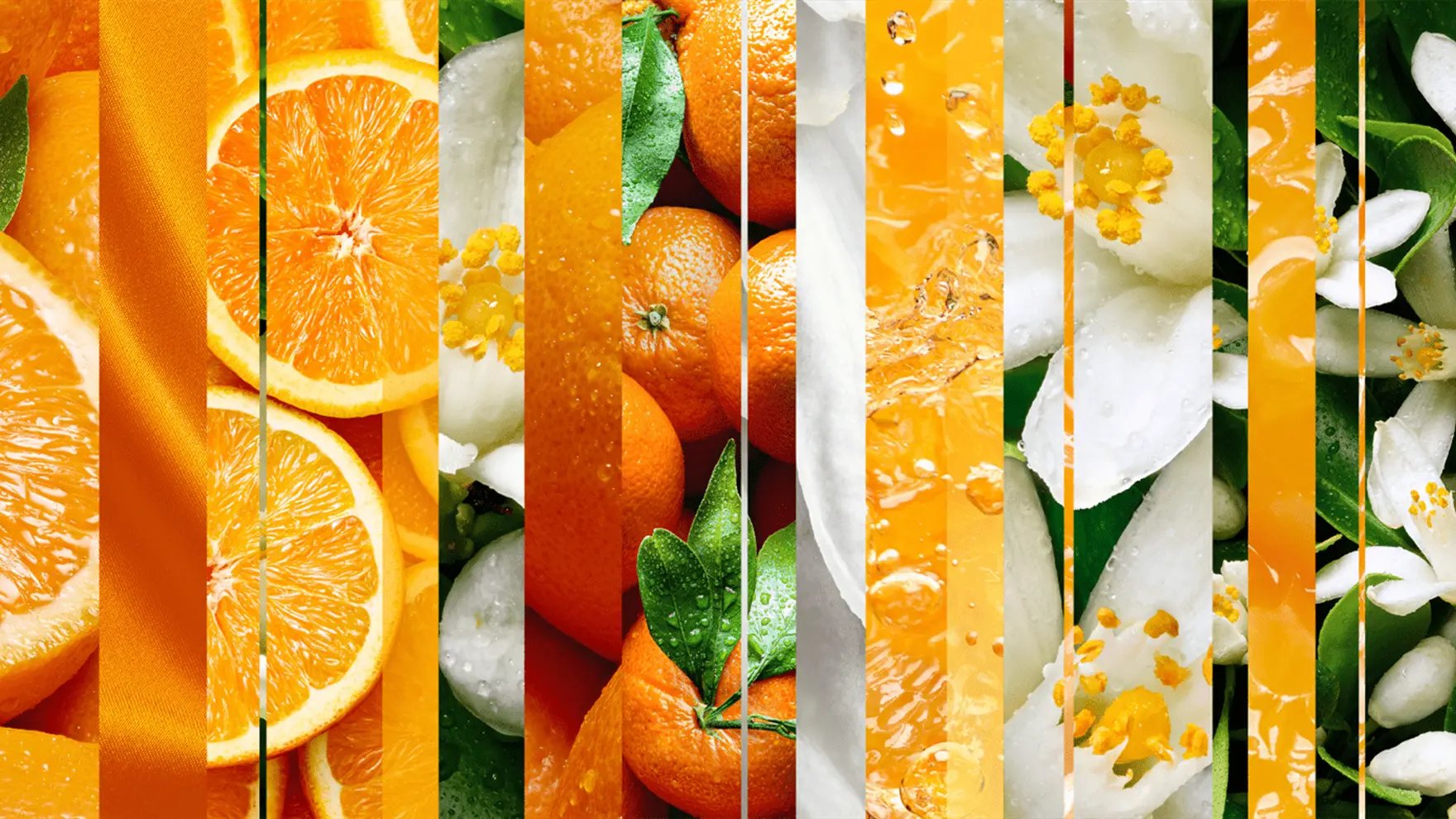 Parfum Refreshing Energy | Produits Glade pour la maison | SC Johnson