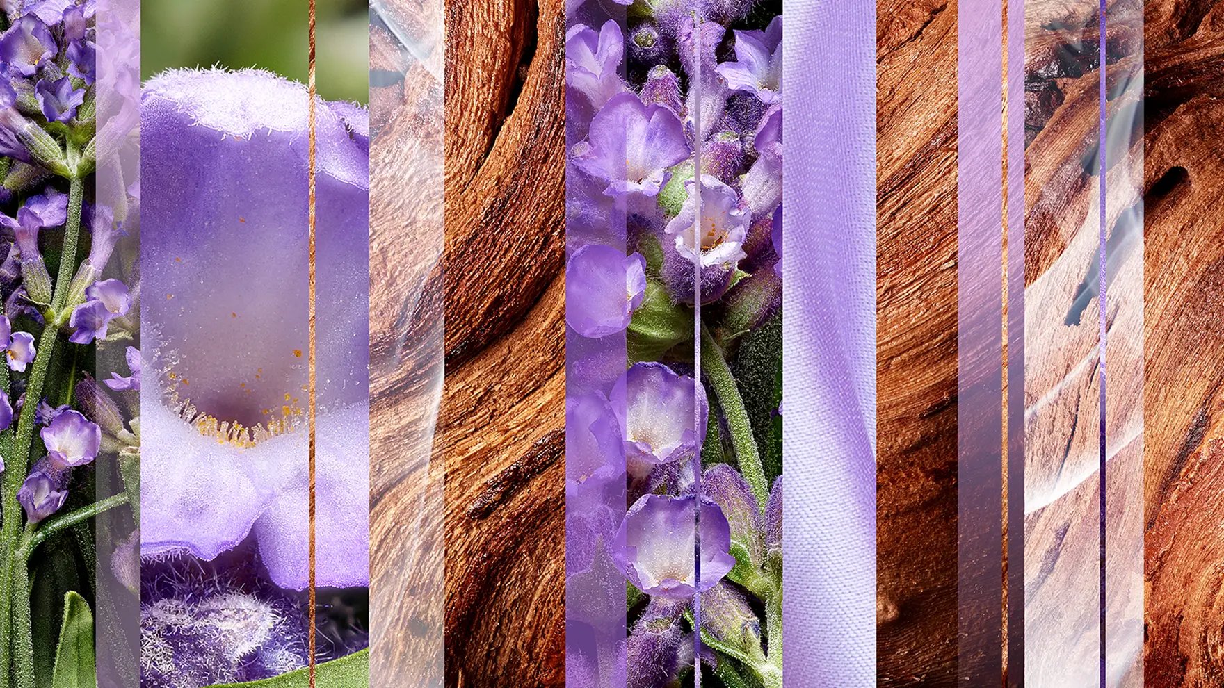 Choose Calm Fragrance | Glade® Home Products | SC Johnson