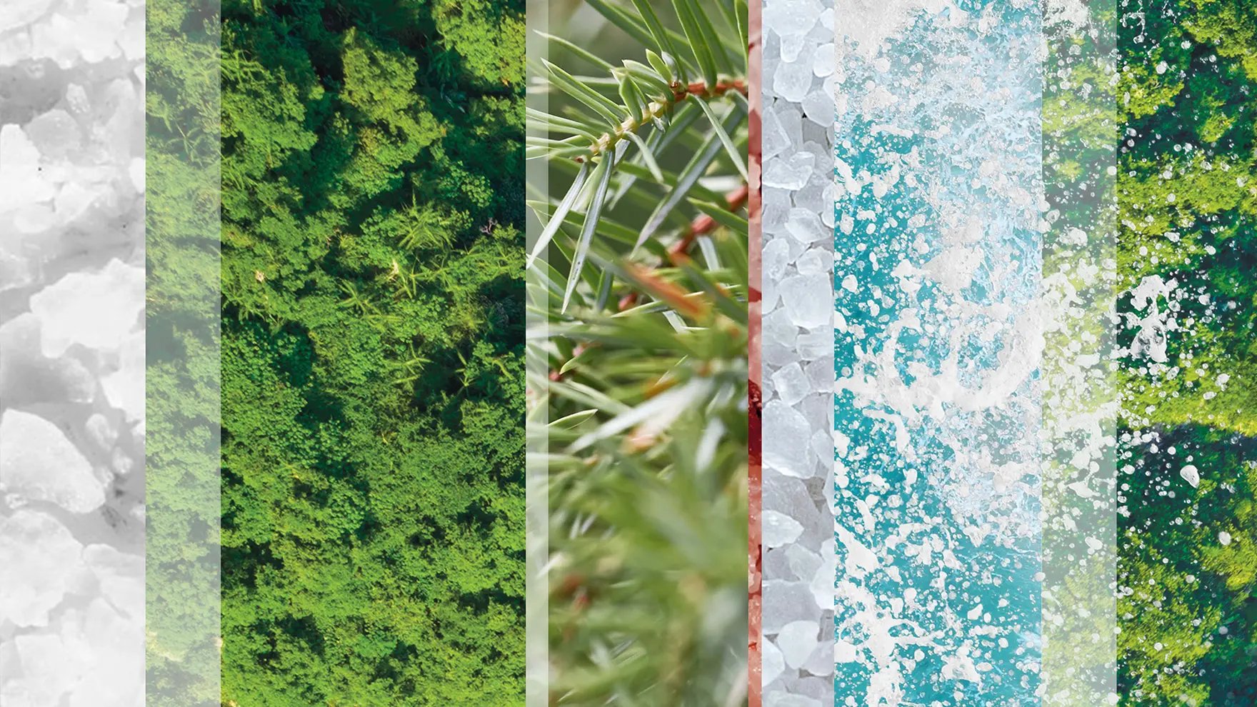 Sea Mist & Cypress Fragrance | Glade® Home Products | SC Johnson