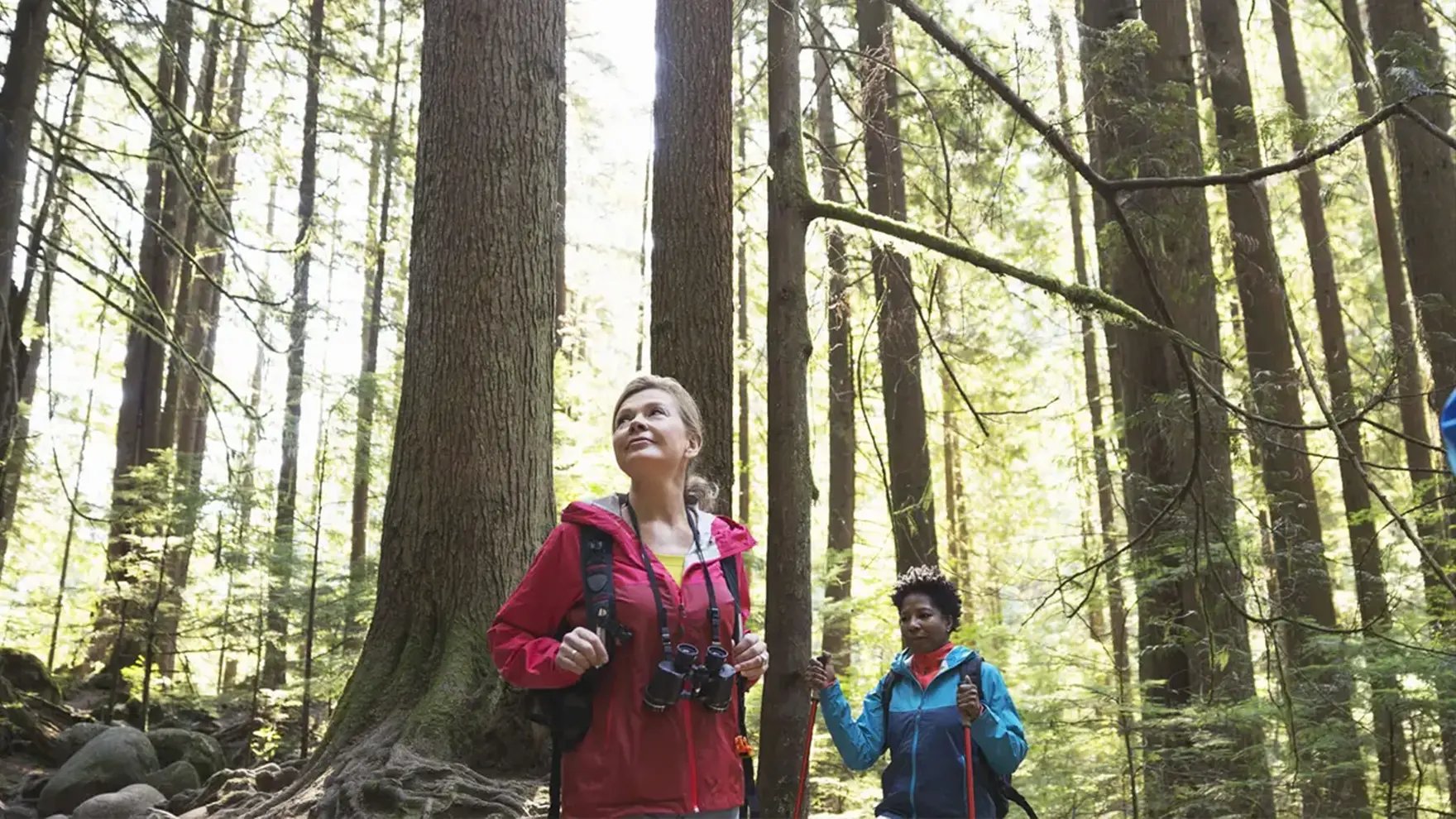 Are DEET-Free Bug Repellents Effective? What You Need to Know | OFF!®