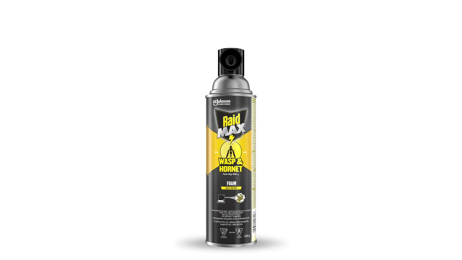 Raid Max® Wasp & Hornet Foam Bug Killer 2 | Pest Control Products