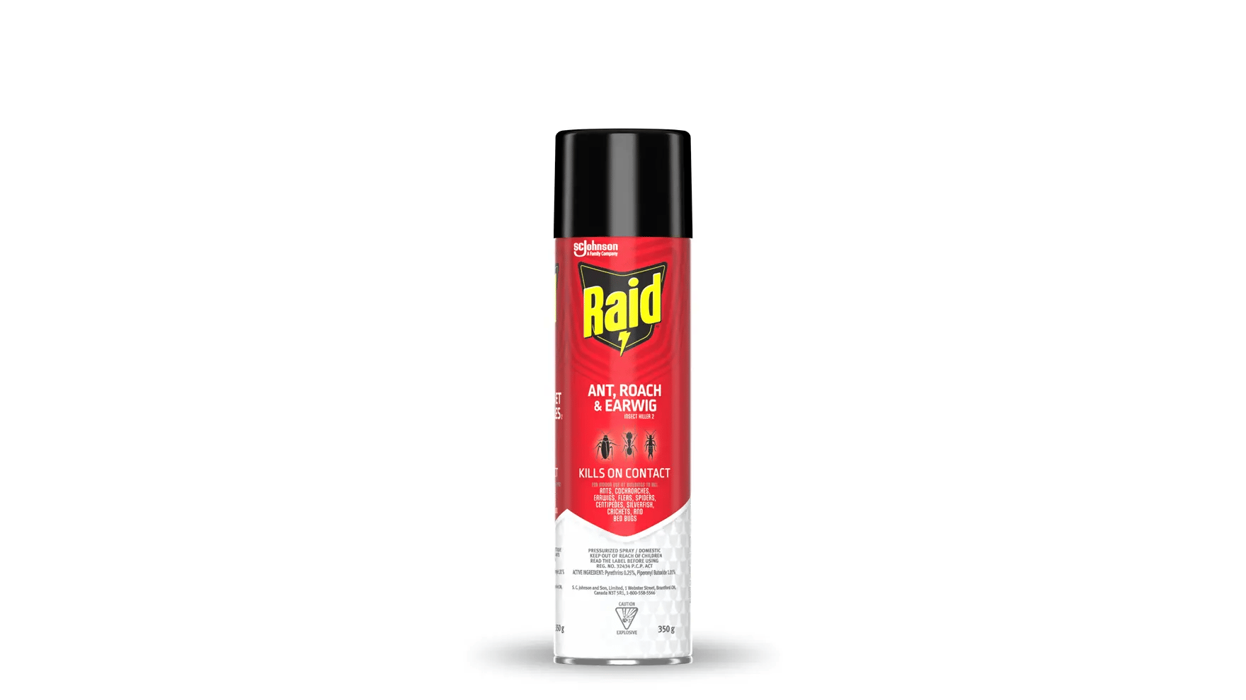 Raid® Ant Roach & Earwig Insect Killer 2 | Pest Control Products
