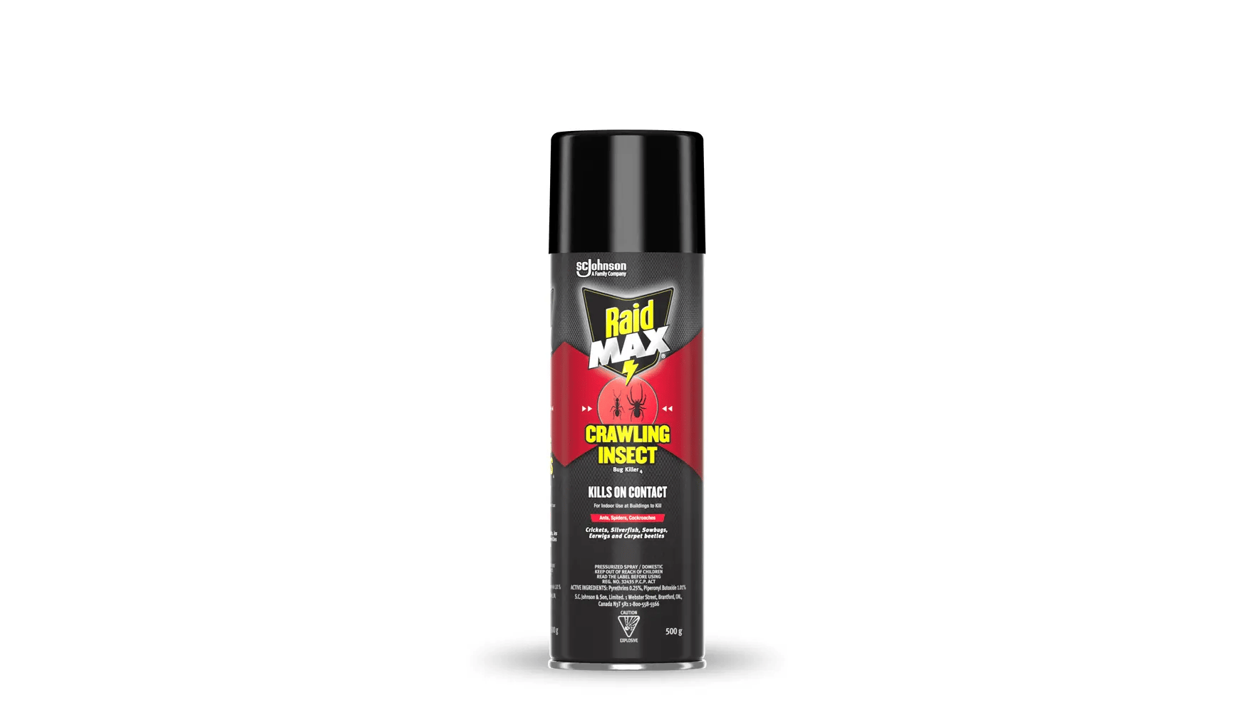 Raid® Max Crawling Insect Bug Killer 4 | Pest Control Products