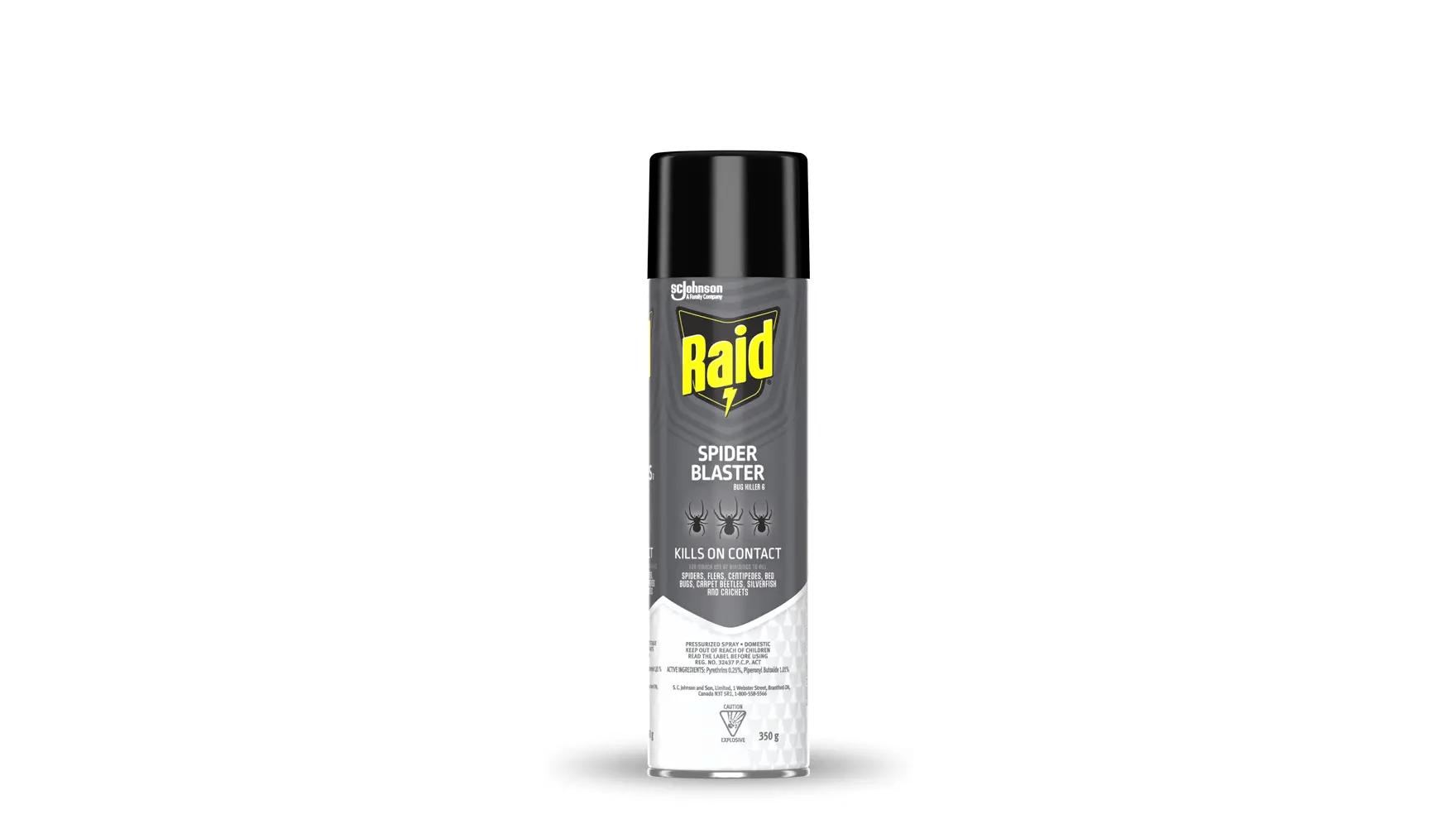 Raid® Spider Blaster Bug Killer 6 | Pest Control Products