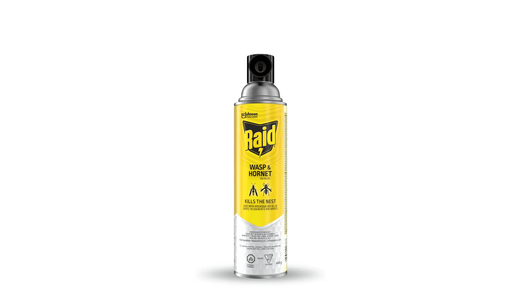 Raid® Wasp & Hornet Bug Killer 7 | Pest Control Products