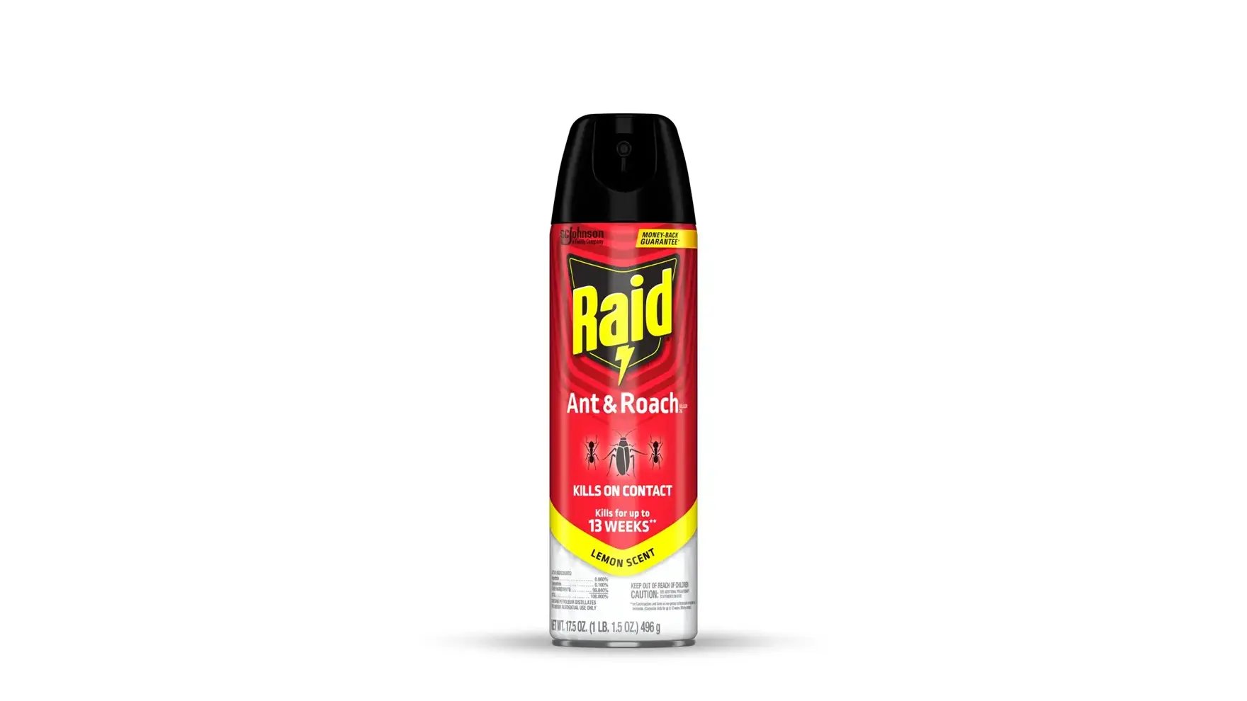 Raid® Carpenter Ant and Roach Killer | Indoor Cockroach Spray