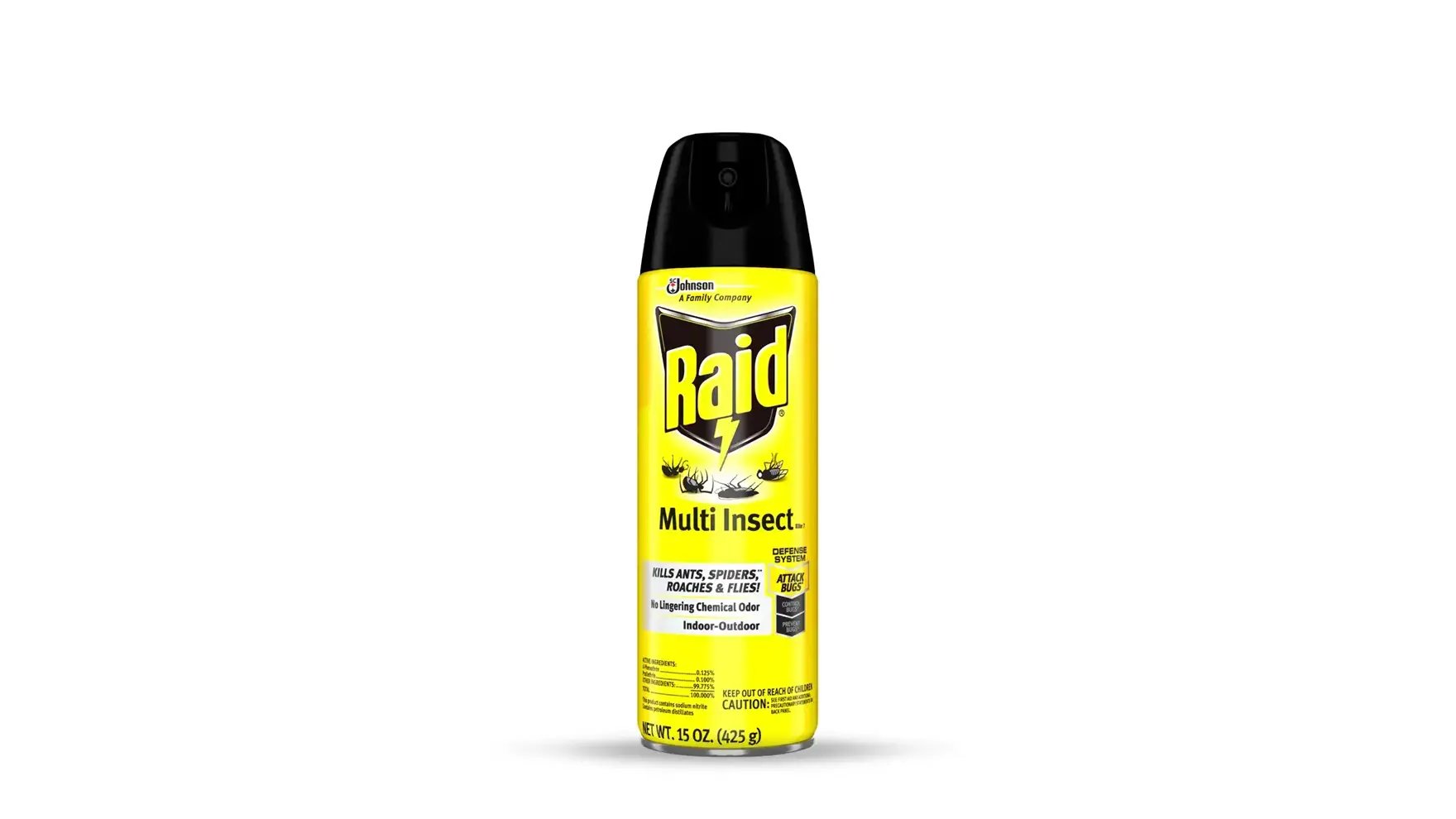Raid® Multi Insect Killer | Indoor & Outdoor Bug Killer Spray