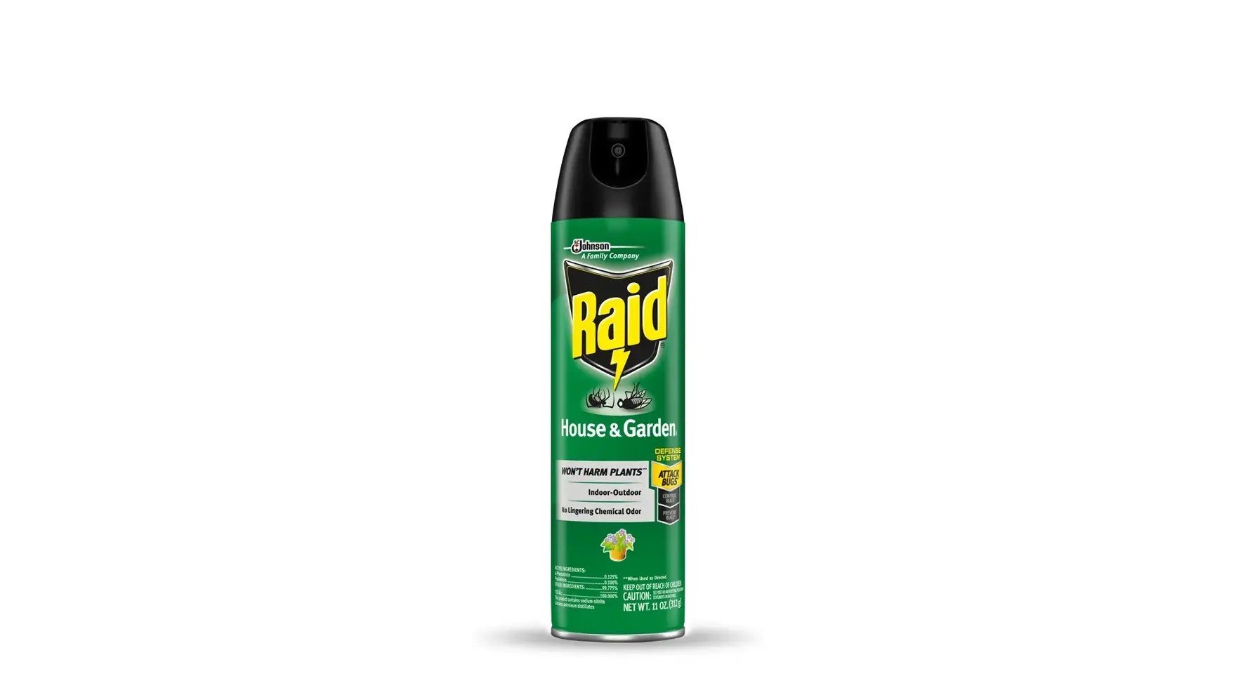 Raid House & Garden I Aerosol Spray | Raid Bug Control