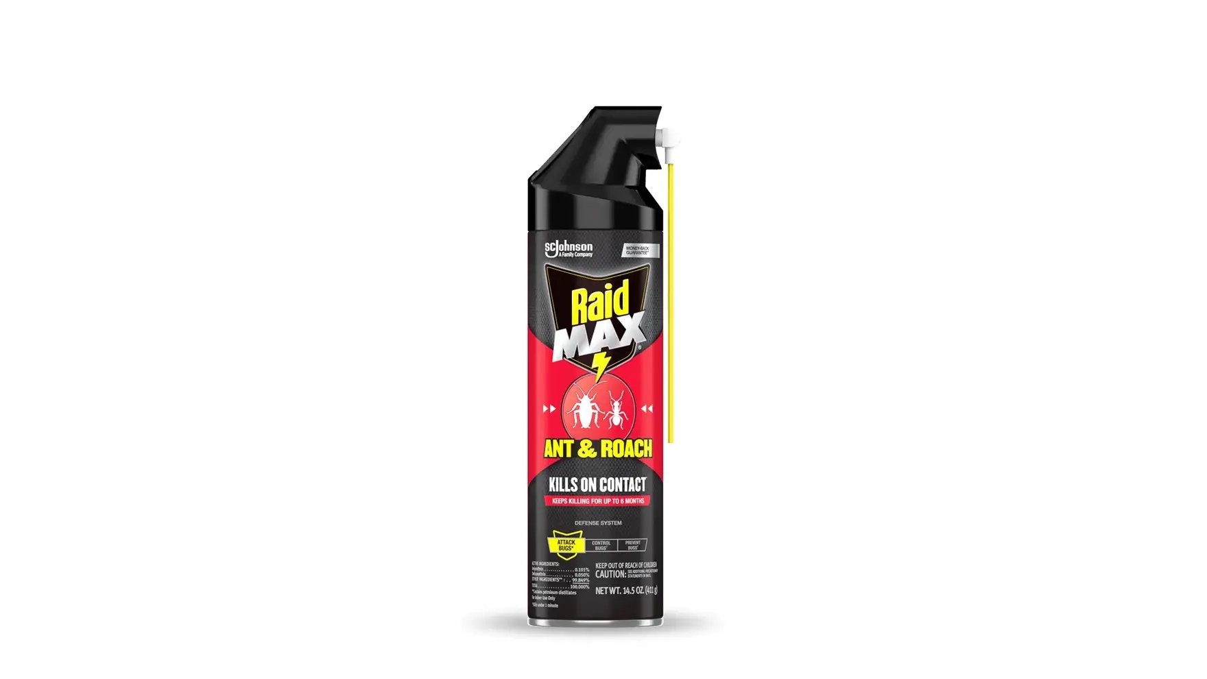 Raid® Carpenter Ant and Roach Killer | Indoor Cockroach Spray