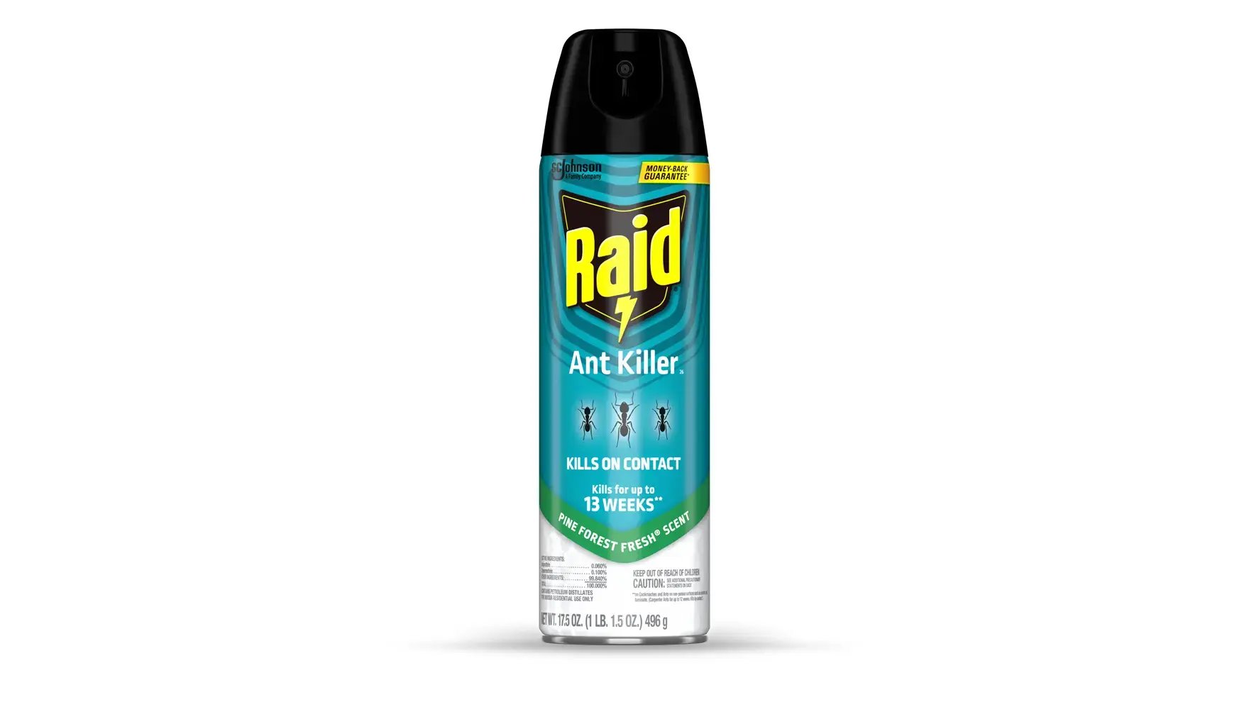 Raid Ant Killer 26 Aerosol Spray | Raid® Bug Control
