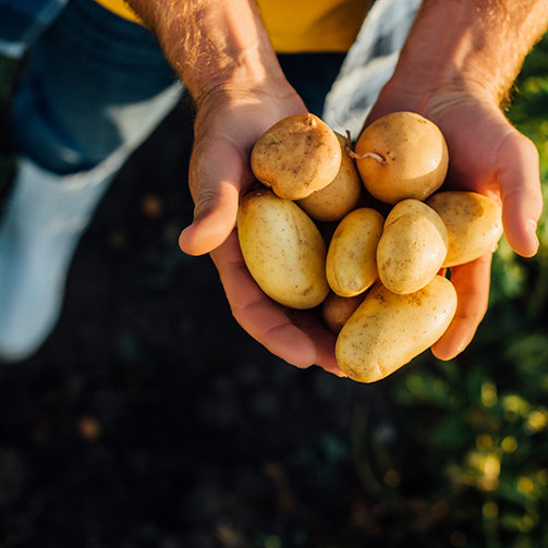 Welcome to Sodexo Group