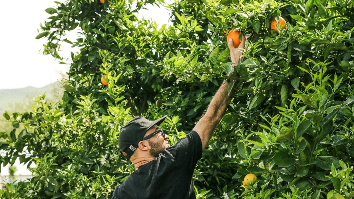 Sustainability Champion Spotlight: Kenneth Webster