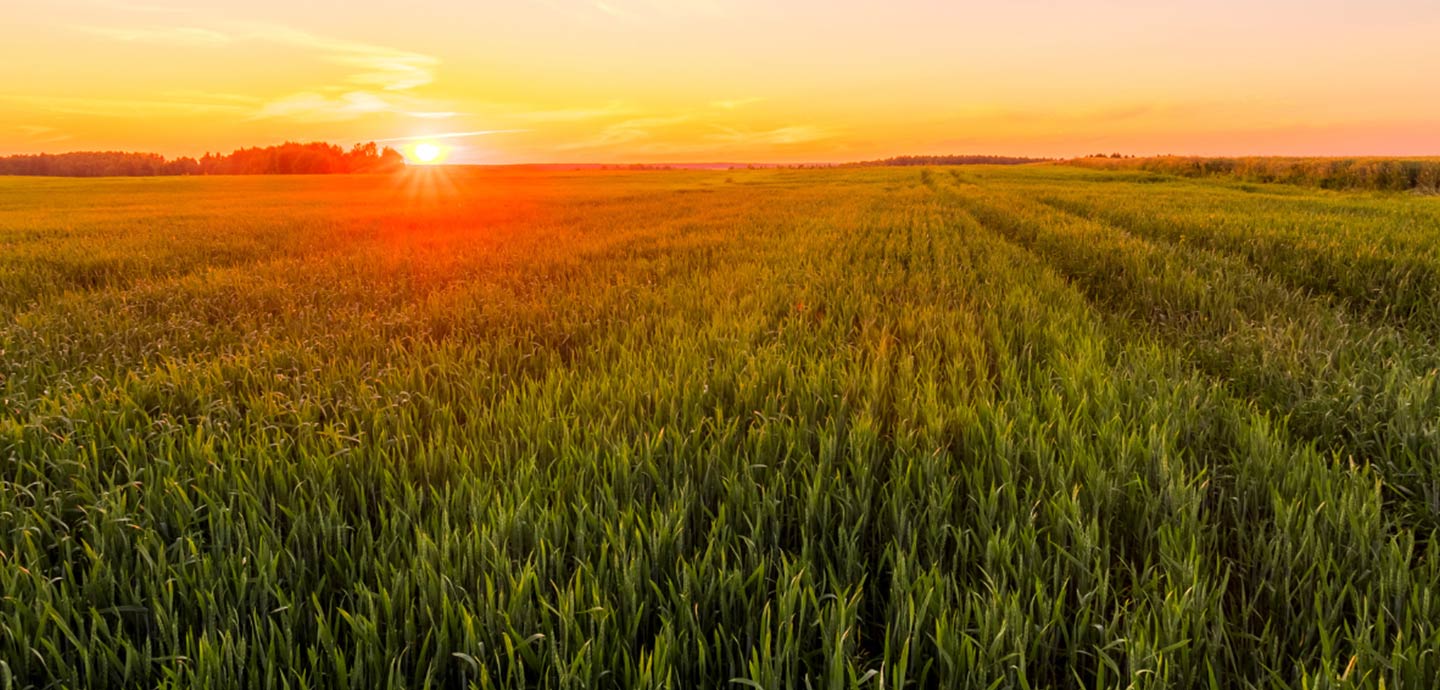 Sodexo Unveils First International Sustainable Food Barometer