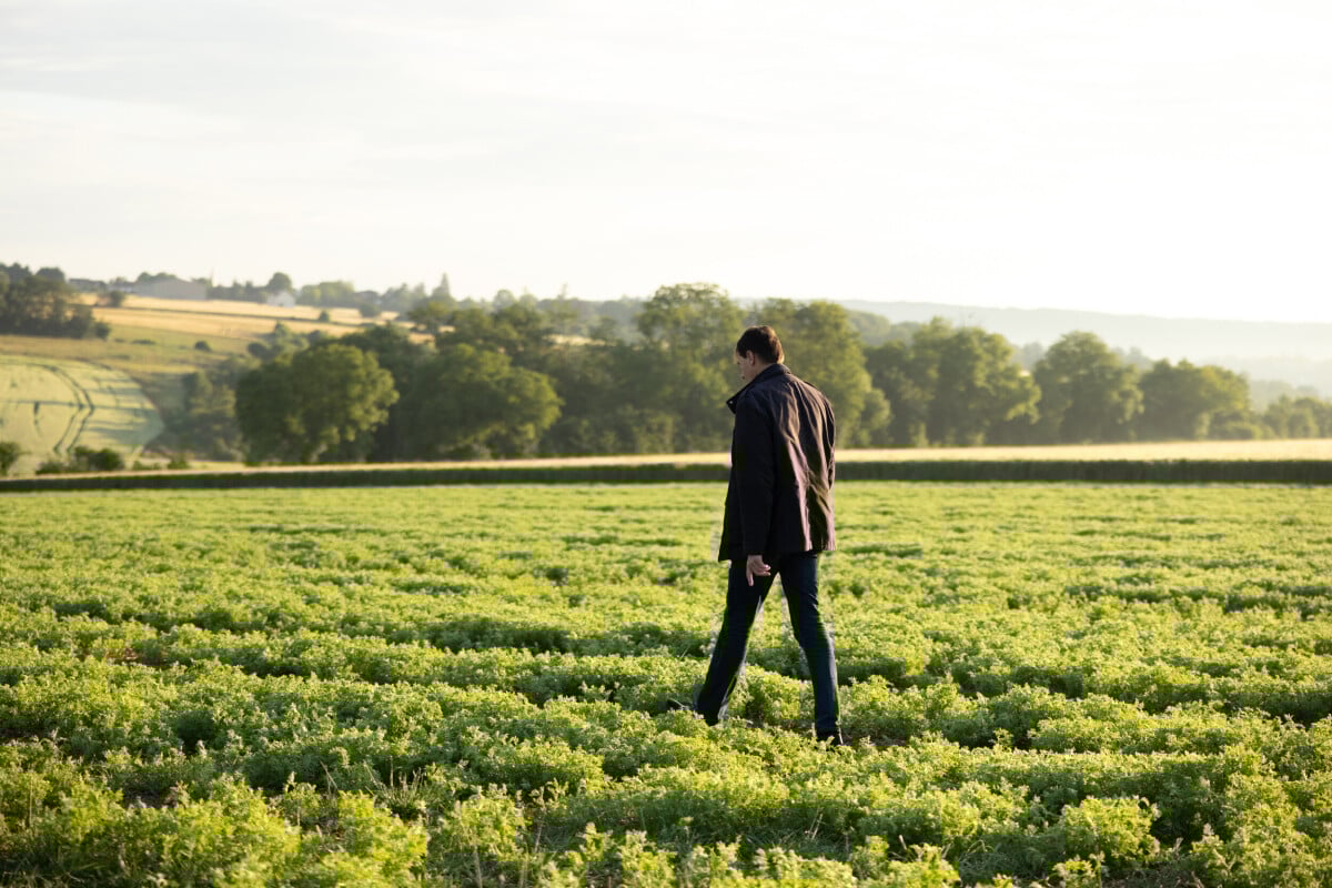 Better Tomorrow 2028