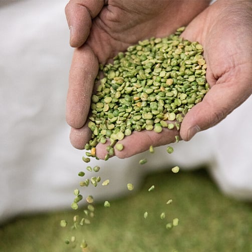 Sodexo Group – Food Services & Facilities Management