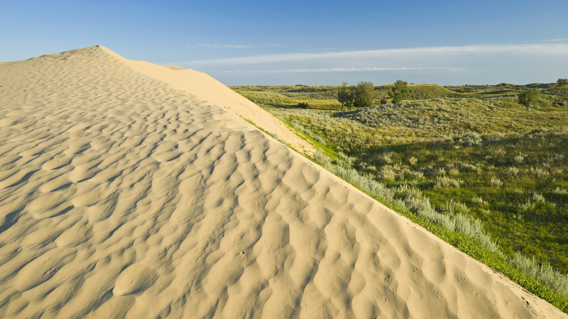 Desert Island on the Prairies: The Great Sand Hills | Tourism Saskatchewan