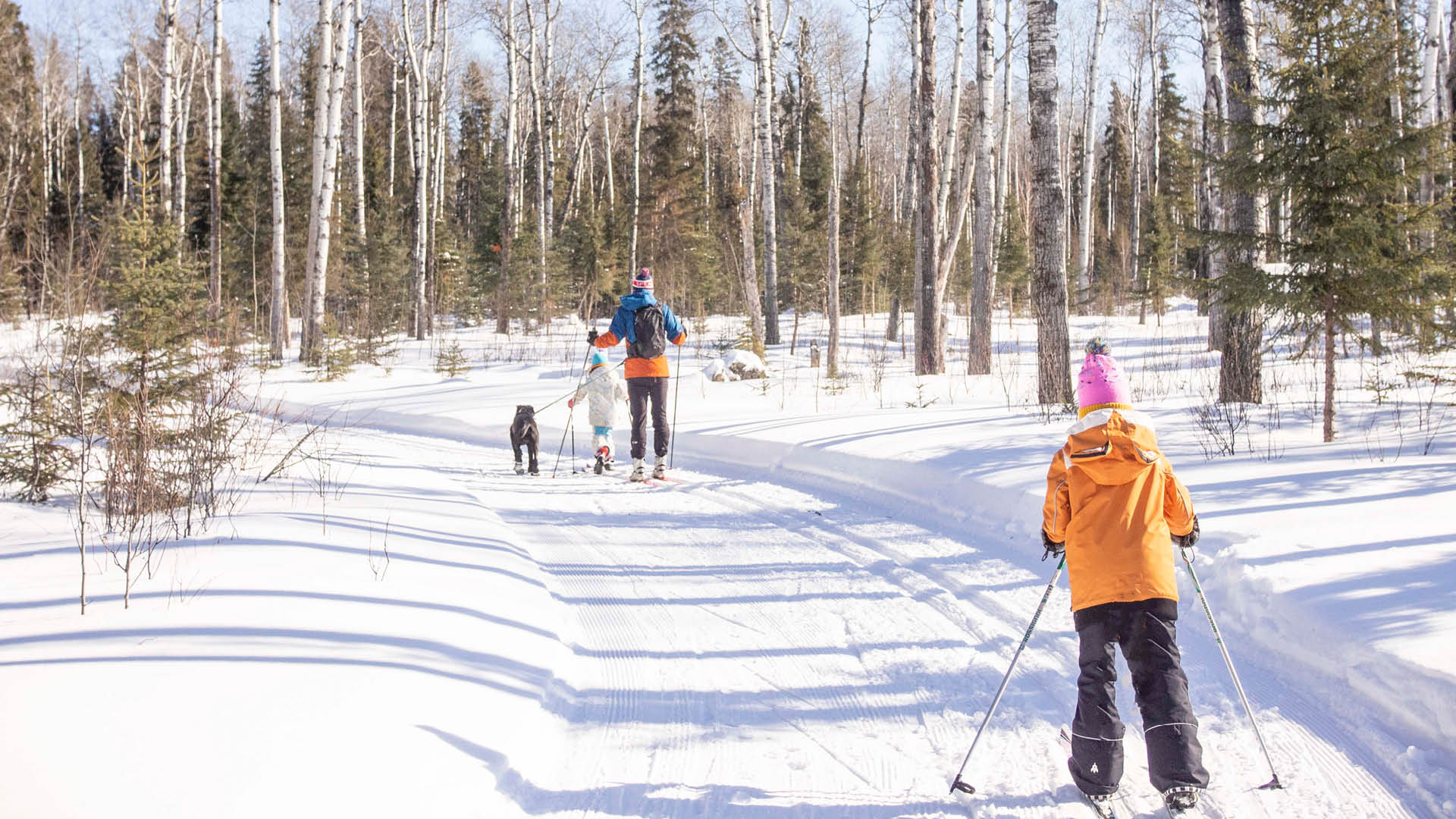 5 Winter Activities to Enjoy in Prince Albert National Park | Tourism ...