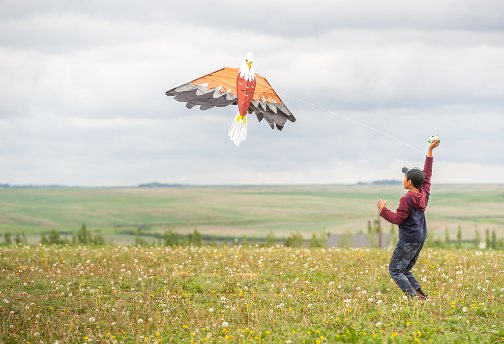 SaskPower Windscape Kite Festival: The Ultimate Saskatchewan Festival ...