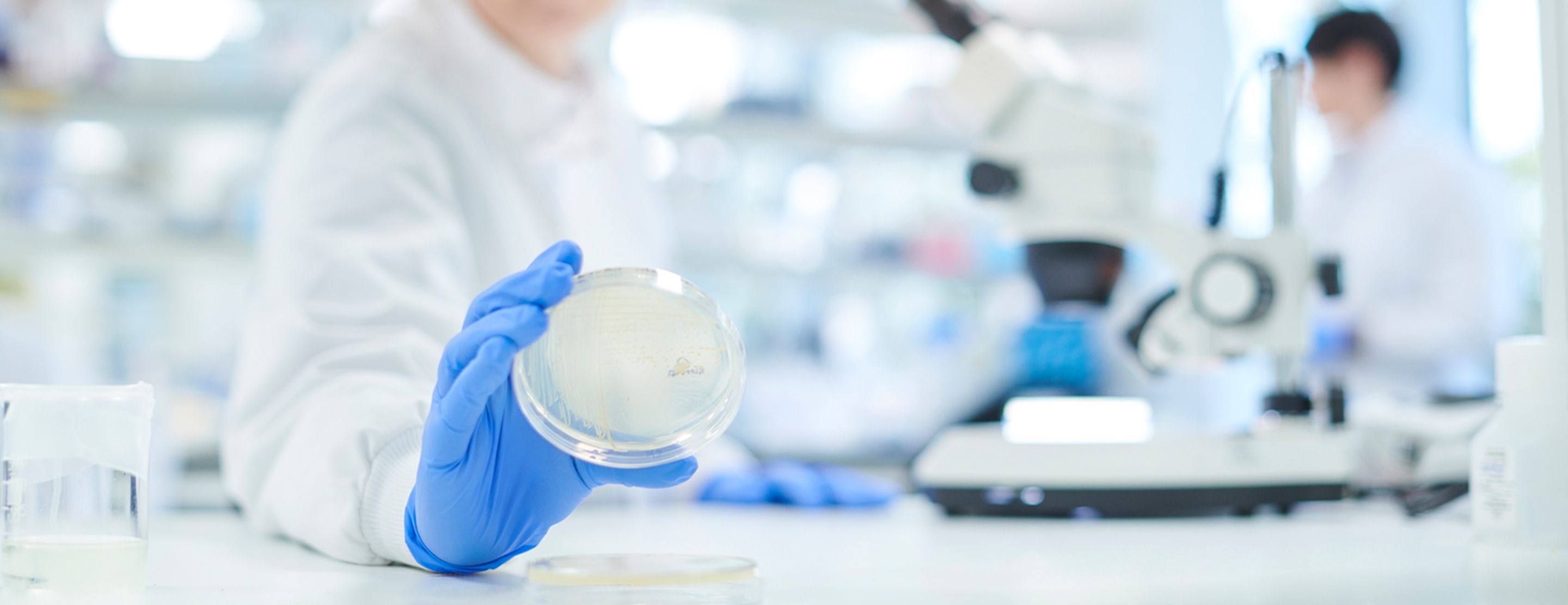Stool guaiac test | UCSF Health