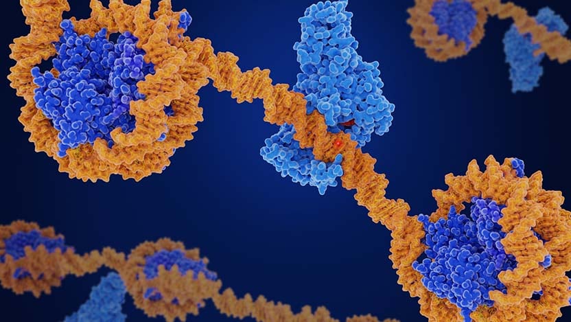 UChicago researchers identify a novel function of RNA binding protein ...