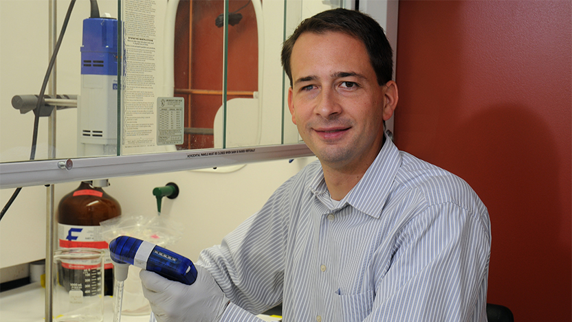 Novel immunotherapy approach shows promise in blood cancers - UChicago ...