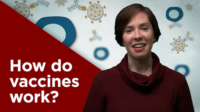 How do vaccines work? - UChicago Medicine