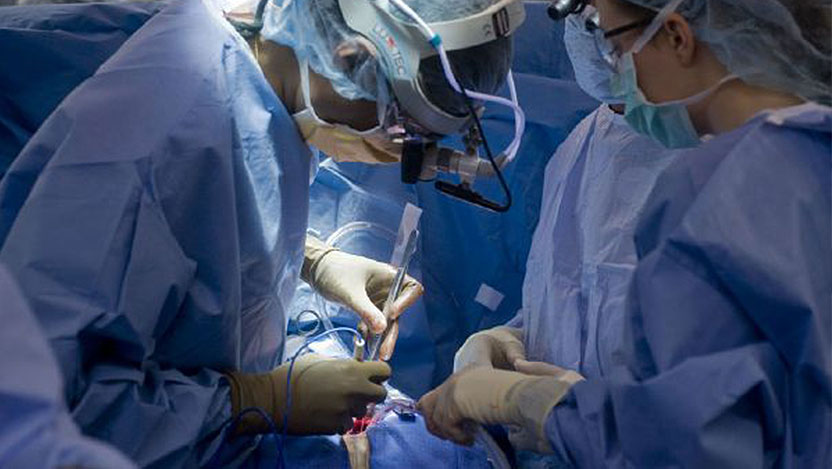 Receiving a new beat: Everything to expect during a heart transplant ...