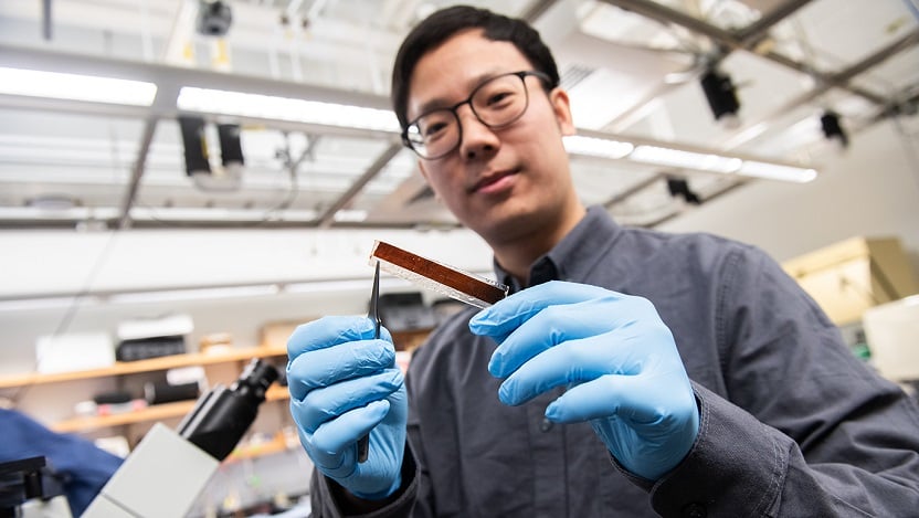 UChicago scientists invent ultra-thin, minimally invasive pacemaker ...