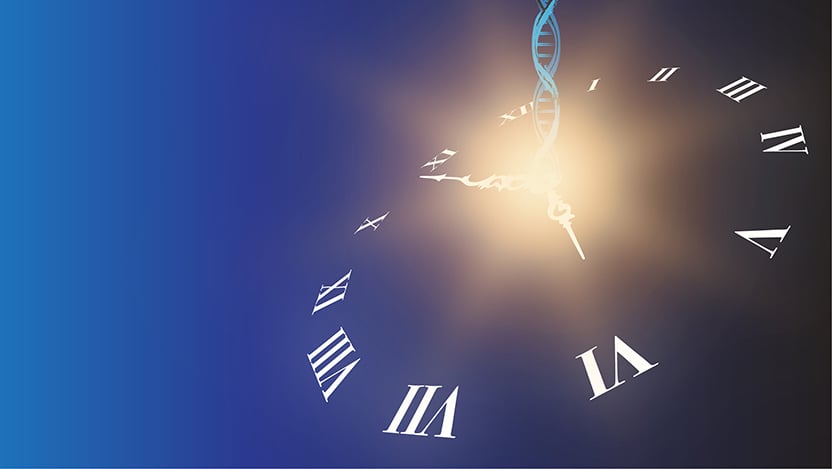 Successful DNA replication in cyanobacteria depends on the circadian ...