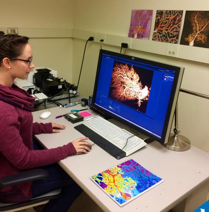 Blending science and art: A UChicago graduate student explores the ...