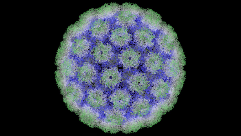 Men with HPV more likely to be reinfected after one year - UChicago ...