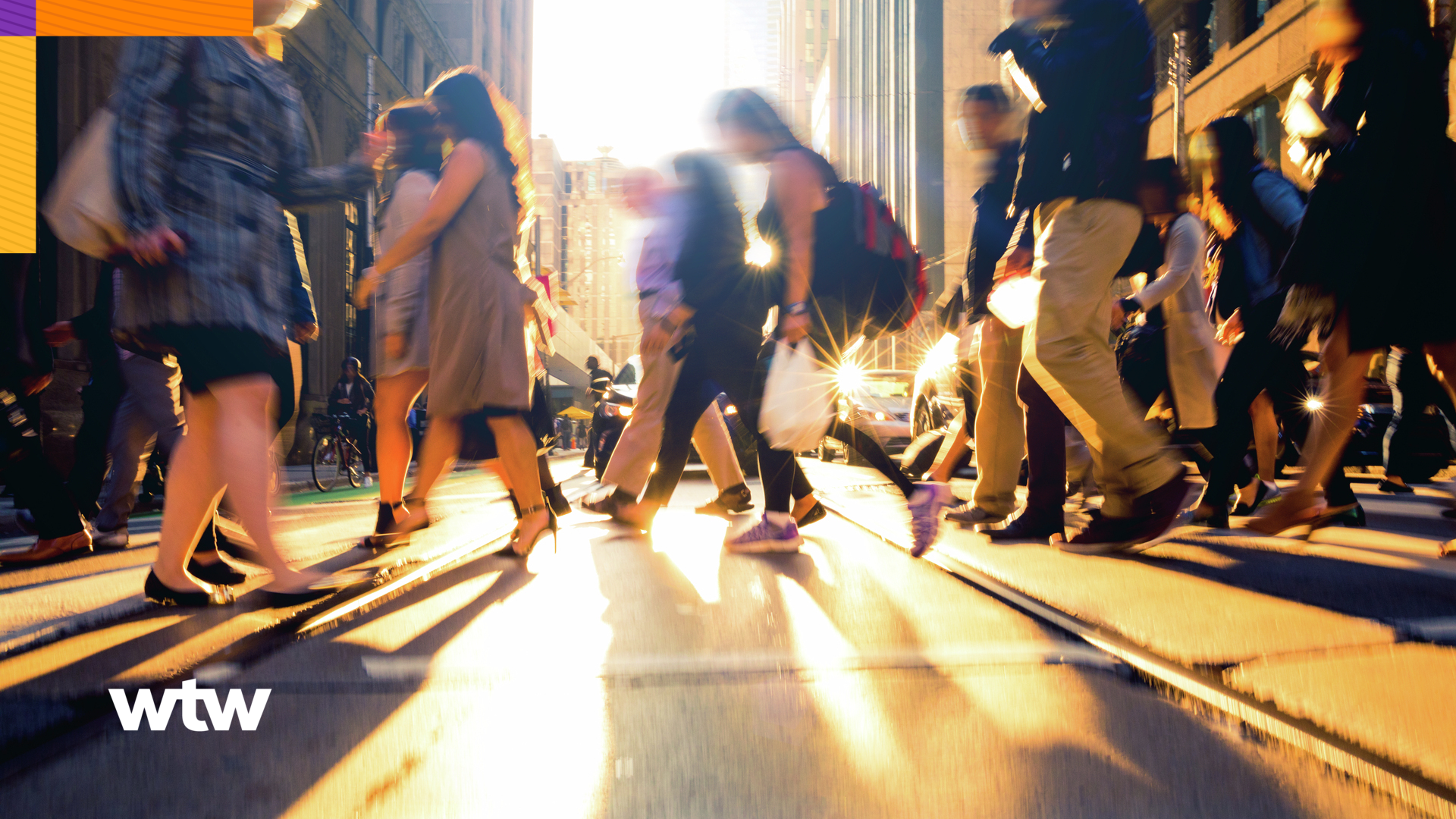 LifeSight confirms intention to launch Retirement CDC solution - WTW UK