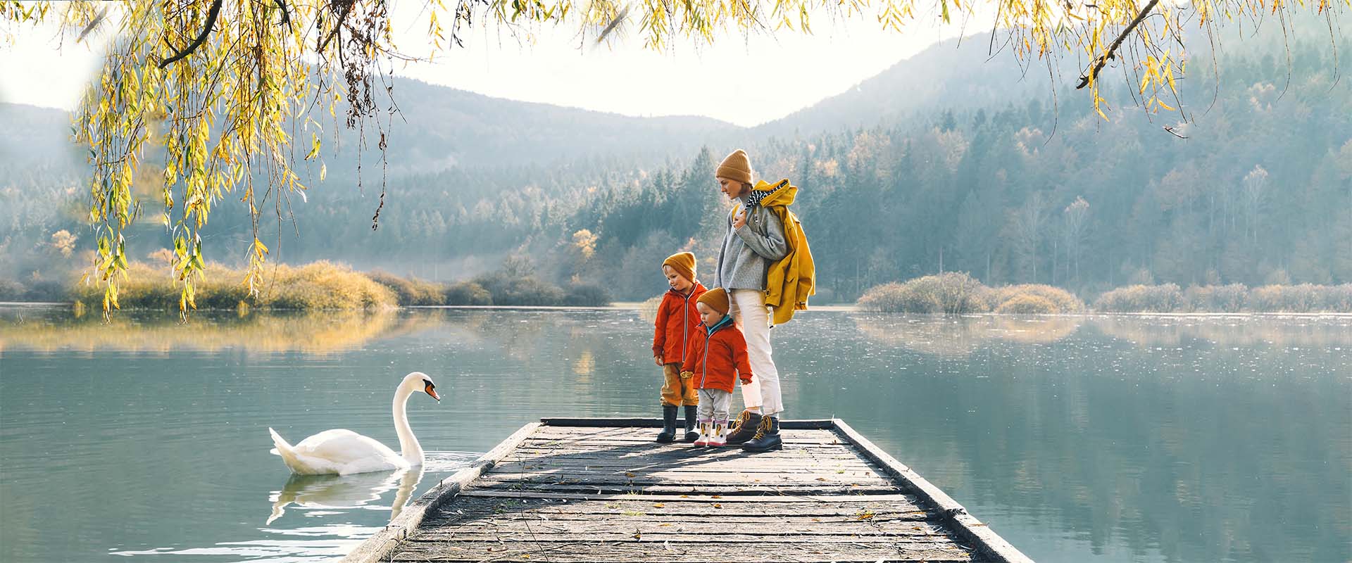 Life Insurance forms | OnePath