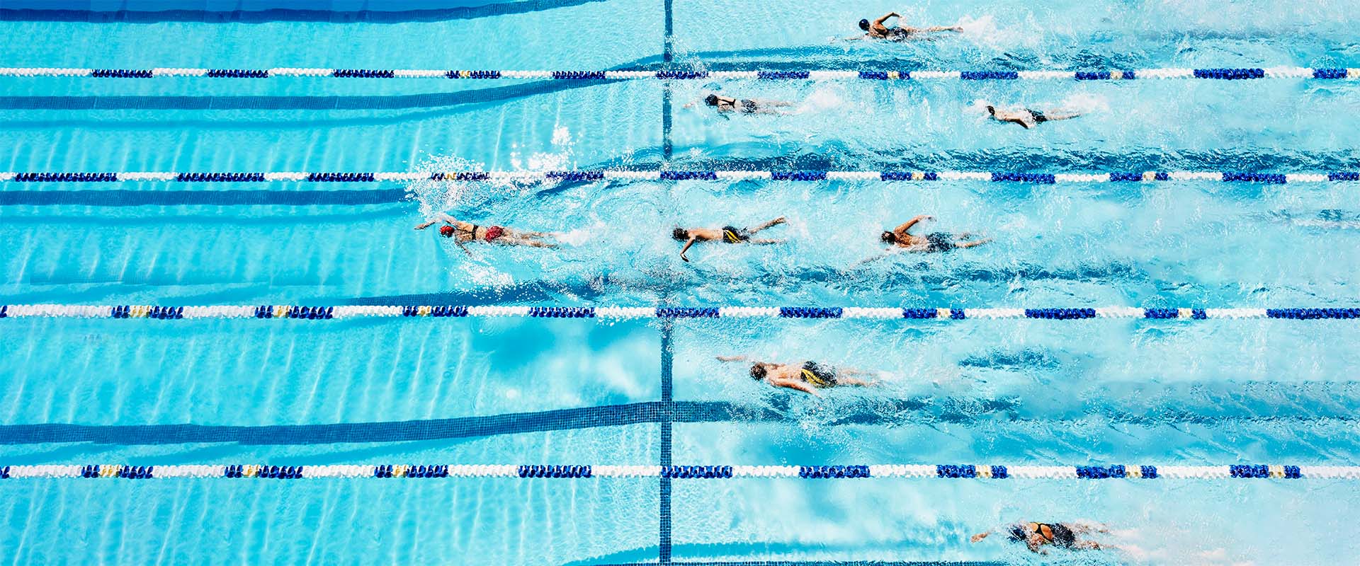 Small business | OnePath